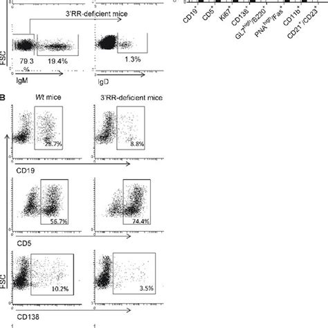 Immunohistochemistry Analysis Of Igd Igm Cells A Mln Download Scientific Diagram
