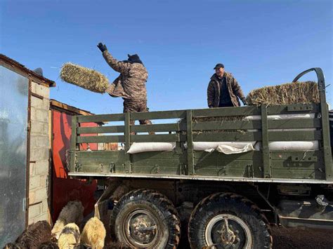 НЭМЭЛТ ХҮЧ ИЛГЭЭЛЭЭ Монгол Улсын Зэвсэгт хүчний томилгоот бүлгүүд өнөөдрийн байдлаар 17 аймагт
