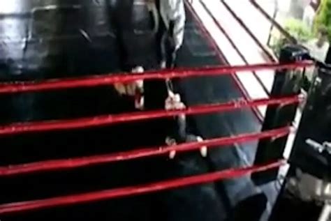 فیلم کشتی کج دختران تهرانی؛ مردان تماشاچی بودند