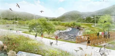 深圳将新建一郊野公园周末踏青游玩的地方又多了一个 深圳新闻网