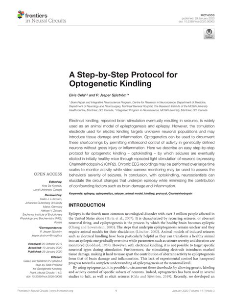 Pdf A Step By Step Protocol For Optogenetic Kindling