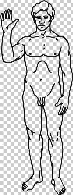 Kama Sutra Sexuality Sexual Intercourse Woman Human Body PNG Clipart Arm Art Costume Design