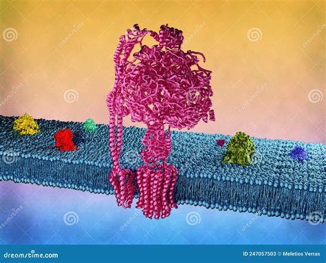 ATP Synthase Stock Illustration Illustration Of Medicine