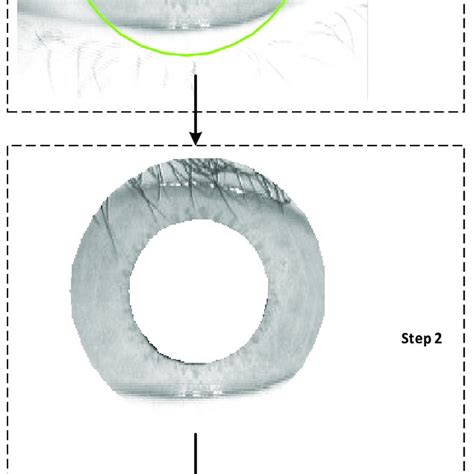 Three Iris Feature Generation Steps Step 1 Segmentation Step 2 Download Scientific Diagram