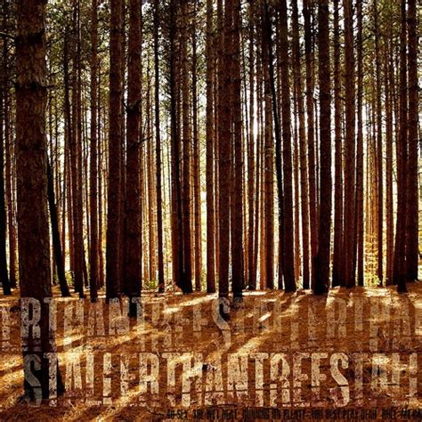 Stream Taller Than Trees 40 Sex By Tallerthantrees Listen Online