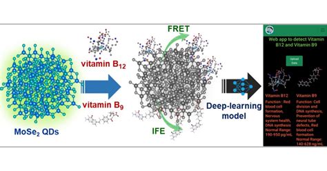 Deep Learning Assisted Discriminative Detection Of Vitamin B12 And Vitamin B9 By Fluorescent