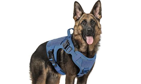 10 Best German Shepherd Harness Secure Your Gsd Now