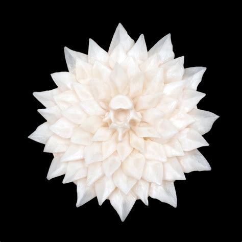 Thera Gar Scale Floral Sculpture Ossuaria