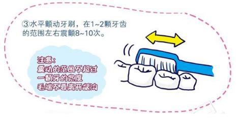 掌握正确的刷牙方法 图解巴氏（bass）刷牙法 深圳技术大学医院