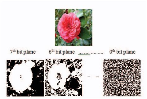 Figure 3 From Design Of A Color Palette Based Image Steganography Algorithm For Fractal Images