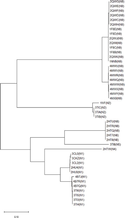 Phylogenetic Tree And Subtypes Clustering Using Mega X 10 1 Show Each Download Scientific