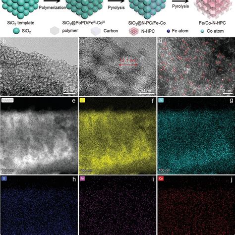 Synthesis Morphology And Composition Of Fe Co‐n‐hpc A Schematic Download Scientific Diagram