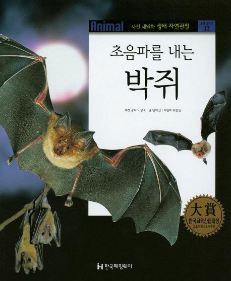 박쥐 양미진 교보문고