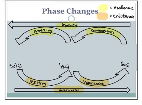 science chapter 8 test flashcards quizlet