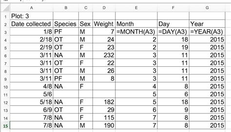 Data Organization In Spreadsheets Dates As Data