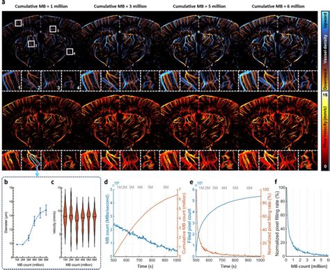 Longitudinal Awake Imaging Of Mouse Deep Brain Microvasculature With