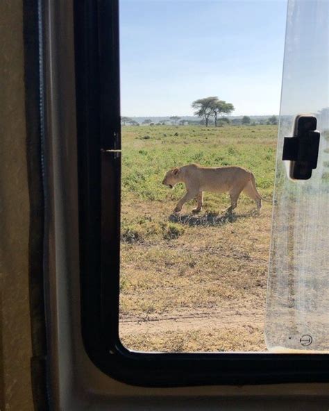 Whats Outside Your Window The Outsiders Windows