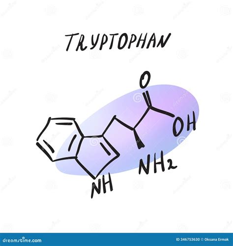 Tryptophan Molecule Formula Hand Drawn Imitation Of Amino Acid