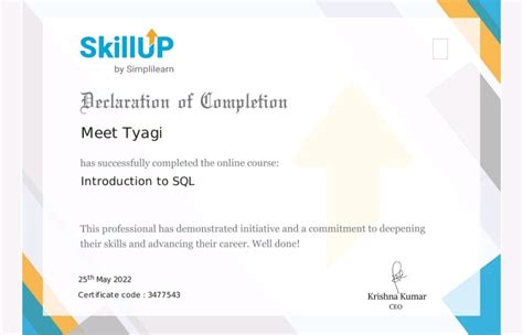 Skillup Simplilearn Sqldeveloper Sql Meet Tyagi