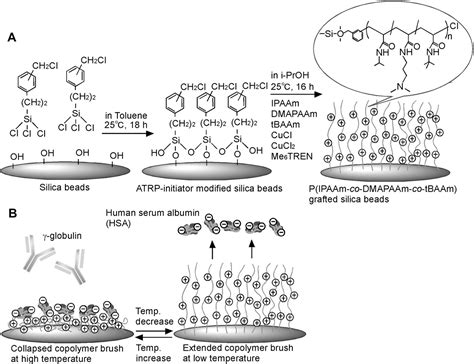 Figure 1 From Thermally Modulated Onoff Adsorption Materials For