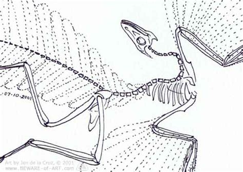 Fossil Archaeopteryx Drawing