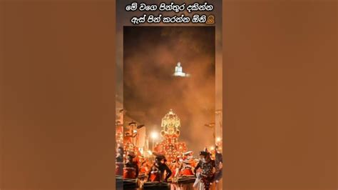 දකින්න පින් කරන්න ඕනි පින්තූර 🙏 Shorts Buddha Culture Youtube