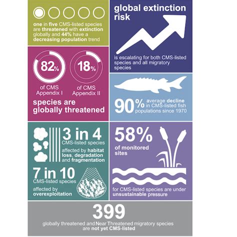 Info Graphic Inter Press Service Inter Press Service