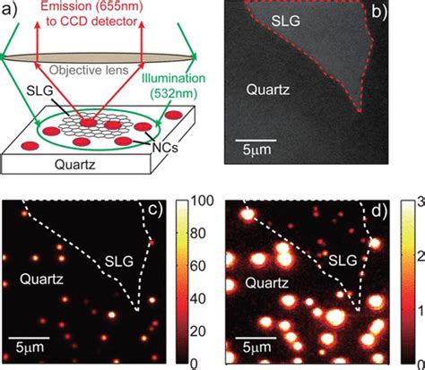 Functionalization Of Graphene Covalent And Non Covalent Approaches Derivatives And