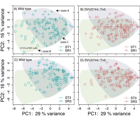 Single Cell Analytics To Determine Robustness Of A Model Microbial