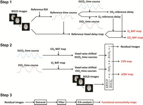 Illustration Of Analysis Steps In The Multiparametric Imaging Method To Download Scientific