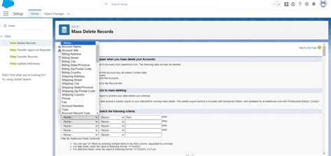 Mass Delete Records Using List View Button