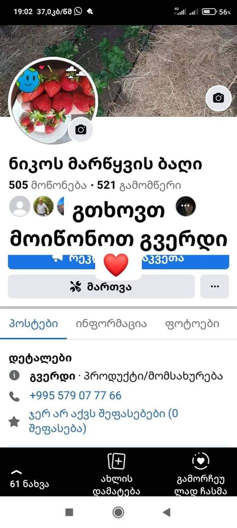 ქვაზე კვეთა Tbilisi