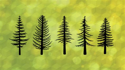 learn redwood a full stack serverless jamstack framework — sitepoint
