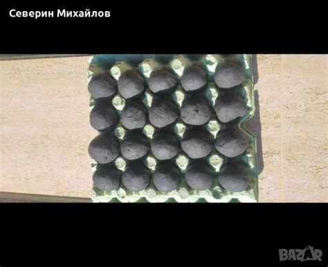 Мумио в Други услуги в гр Рудозем Id44858699 — Bazarbg