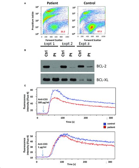 A T Cell Culture Viability Determined By Flow Cytometry Live Cells