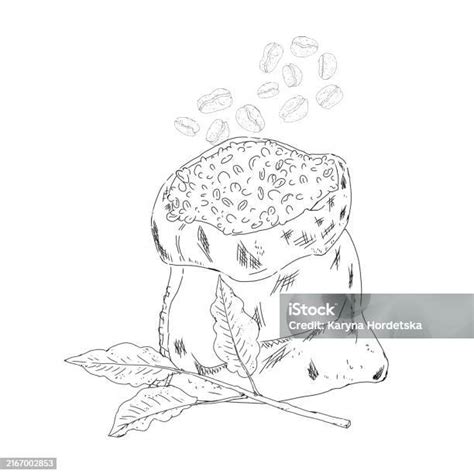 색칠 공부 책 페이지 와 황마 가방 와 커피 콩 와 잎을 가진 커피 식물의 가지 인쇄와 웹용 흑백 일러스트레이션 가방에 대한