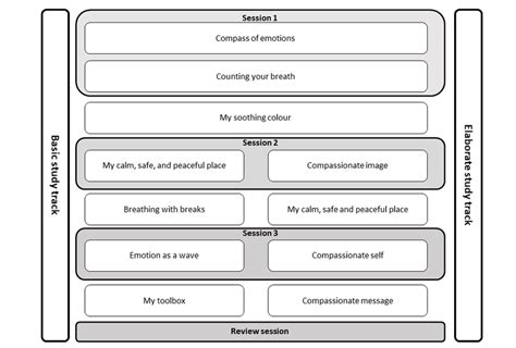 Summary Of The Intervention Content Download Scientific Diagram