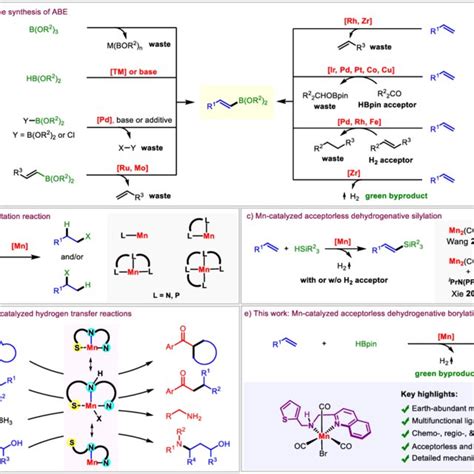 Diversification Of Alkenyl Boronate Ester 517 Download Scientific Diagram