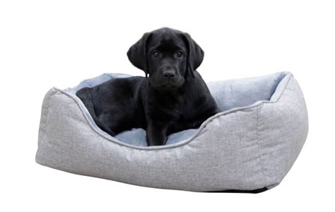 Krevet Za Pse Marie AM SHOP