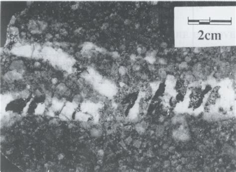 Photograph Of A Section Of Greisen Vein From Cligga Head The Vein Is Download Scientific