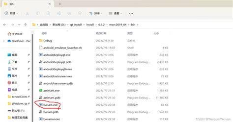 关与exe文件执行即闪退的问题 exe闪退 csdn博客