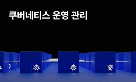 쿠버네티스 운영 관리 프로그래밍 언어 마스터 클라우드를 넘어 더 높이 성장하다