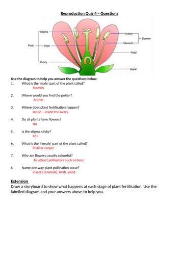 Year 7 Science Key Questions Teaching Resources