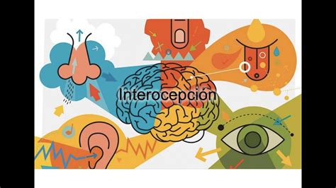 Interocepción Lo Que Tu Cuerpo Te Quiere Decir Youtube