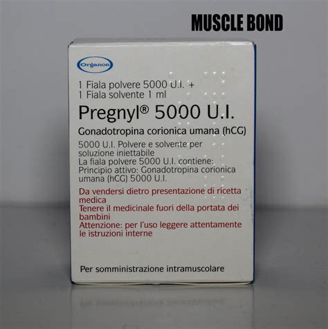 Msd Pregnyl 5000iu Musclebond