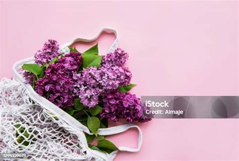 핑크 배경에 재사용 가능한 쇼핑 에코 메쉬 가방에 라일락의 꽃다발 개념 없음 플라스틱 제로 폐기물 복사 공간 상단 보기 템플릿 인사말 카드 엽서 초대 가방에 대한 스톡 사진