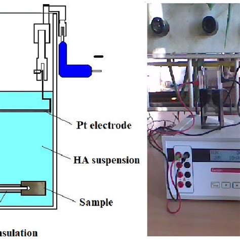 Deposition Cell Scheme And Experimental Set Up Download Scientific