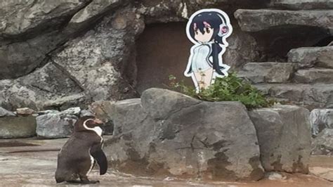 만화 캐릭터 등신대와 사랑에 빠진 펭귄응원 발길 봇물 인스티즈instiz 이슈 카테고리