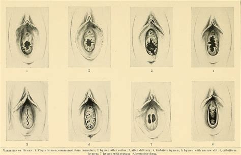 Pastors Daughter Gives Her Father A Certificate Of Virginity On Her Wedding Day Page 3 Xnxx