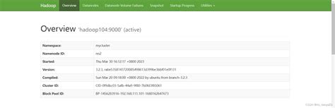 搭建开启keberos的hadoop集群（1） kerberos hadoop集成 csdn博客
